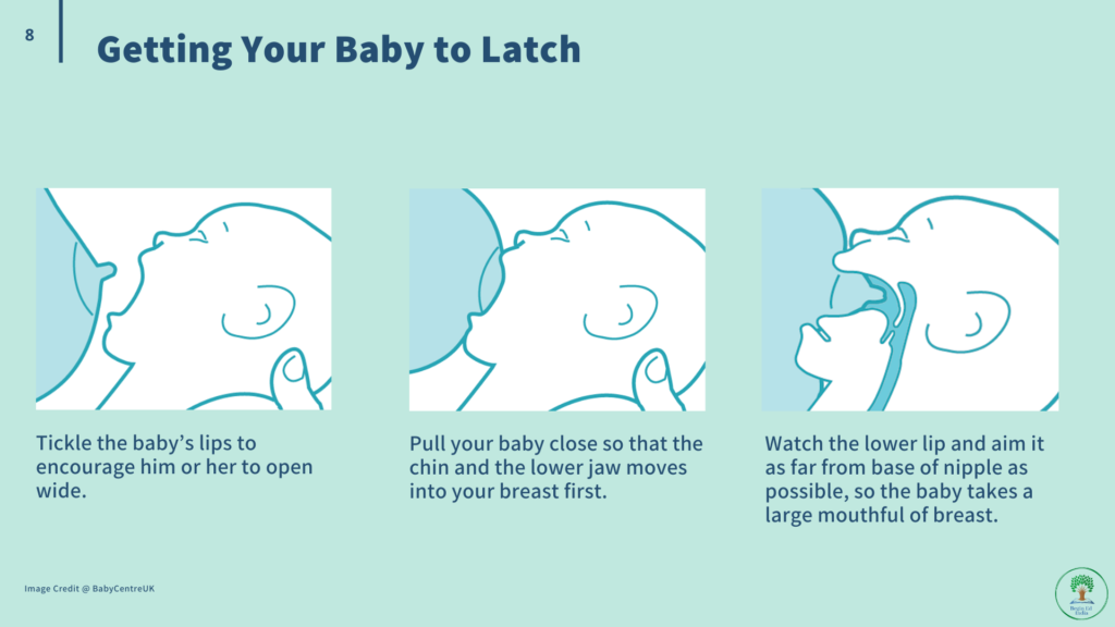 Breastfeeding 101 Booklet for India | Begin Ed India